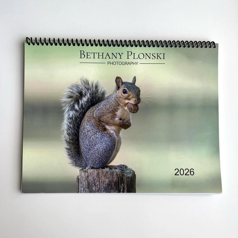 2026 Squirrel Calendar, Nature & Wildlife Photography, 12 Month Wire ...