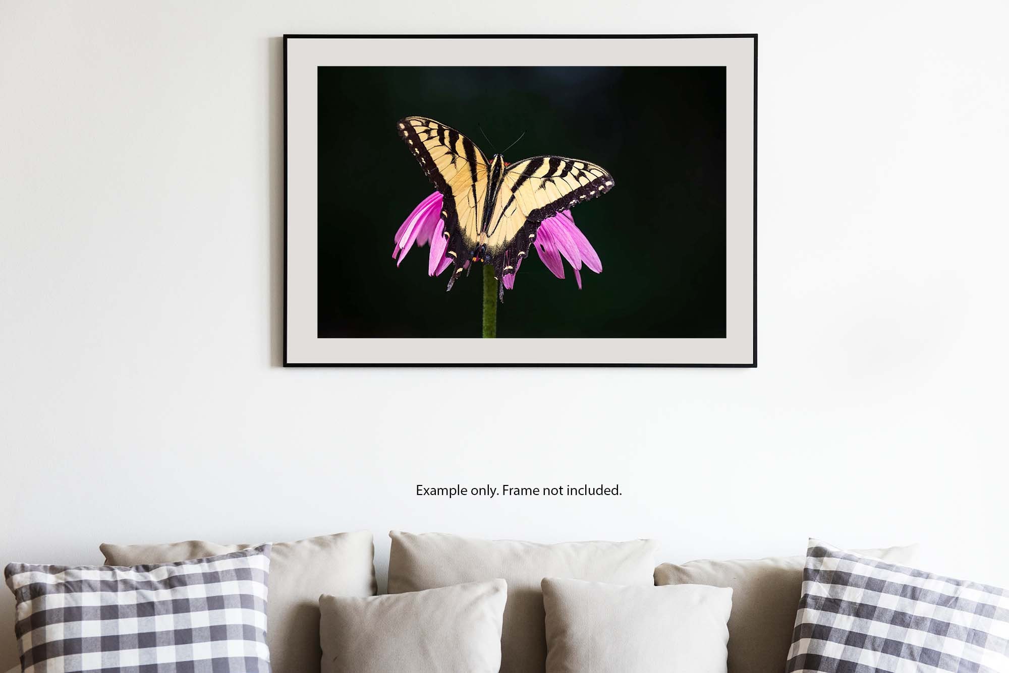 Eastern Tiger Swallowtail Print, Yellow Butterfly, Purple Coneflower ...