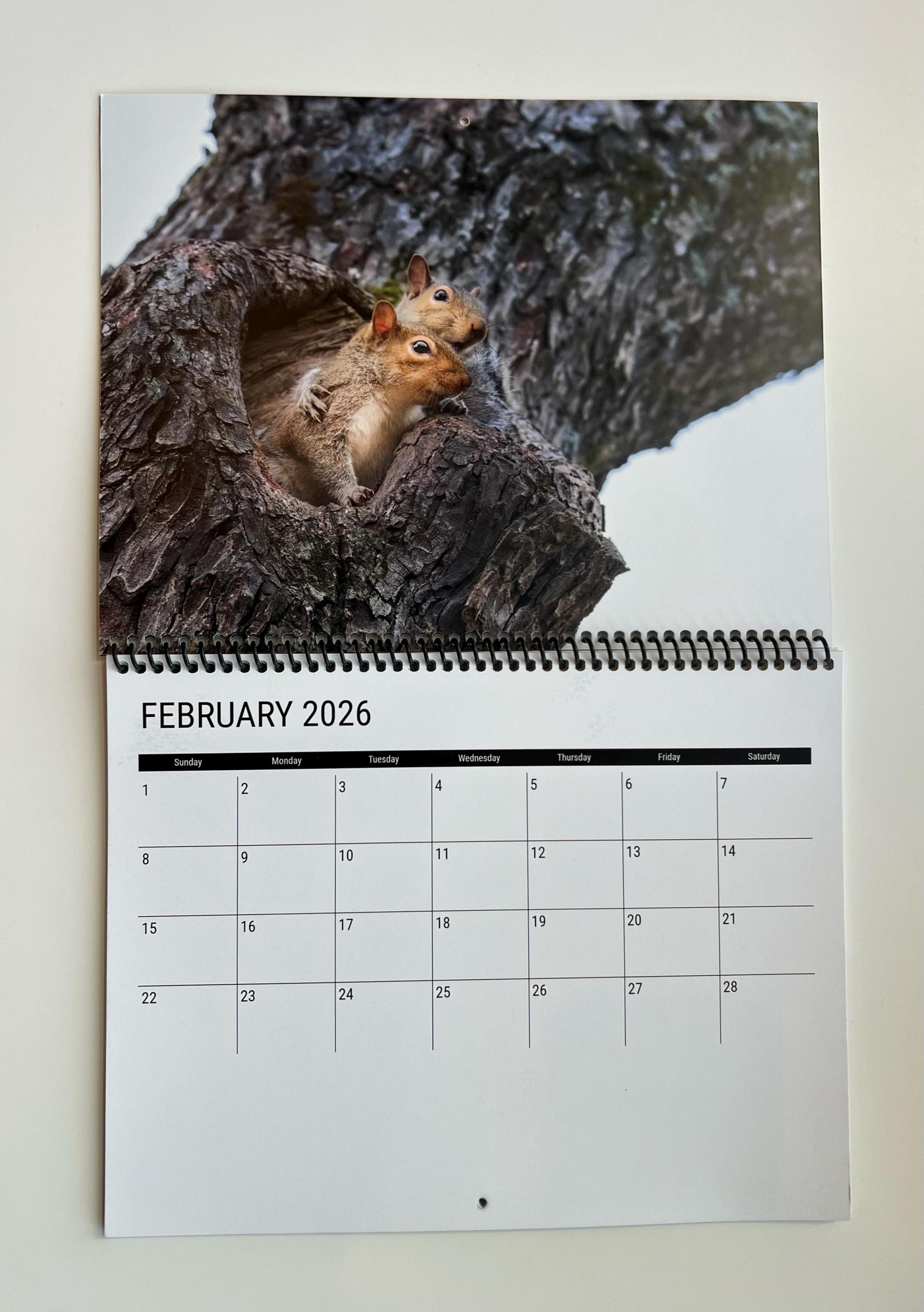 2026 Squirrel Calendar, Nature & Wildlife Photography, 12 Month Wire ...