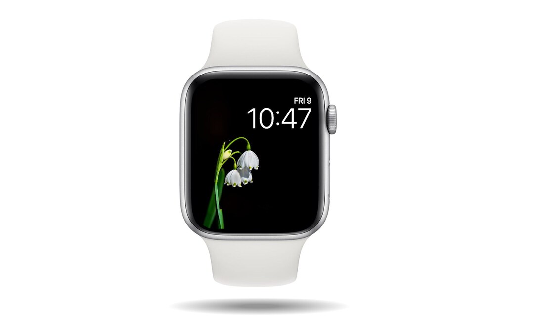 Snowdrop Watch Wallpaper, Digital Download, Spring Flower Watch ...