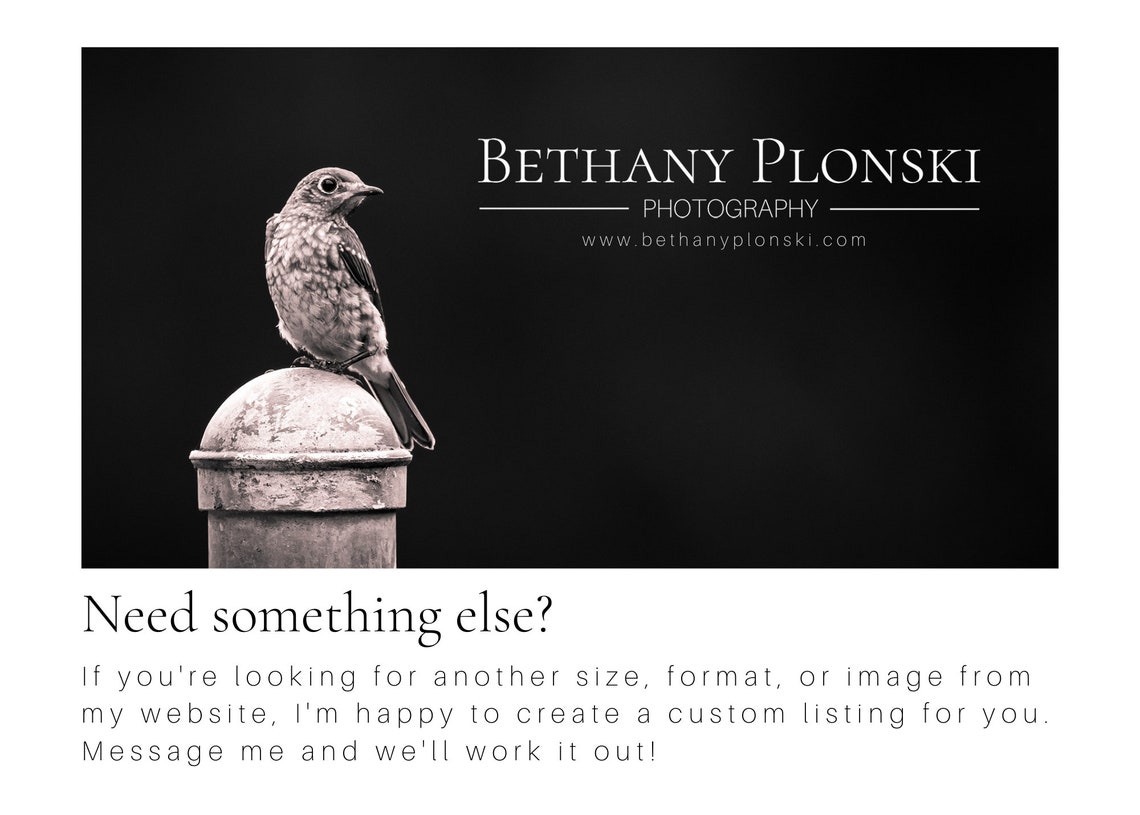 Tybee Island Sunrise, Sunrise Photo, Tybee Island, Pink Sky, Beach ...