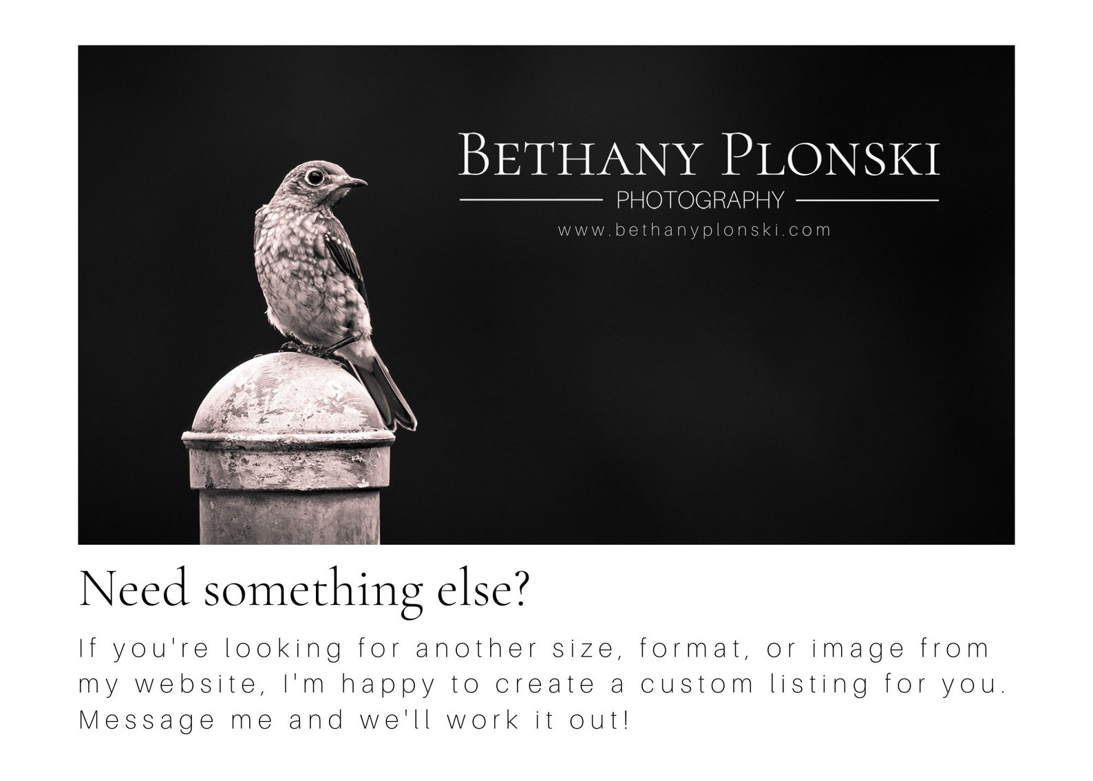 Tybee Island Sunrise, Sunrise Photo, Tybee Island, Pink Sky, Beach ...