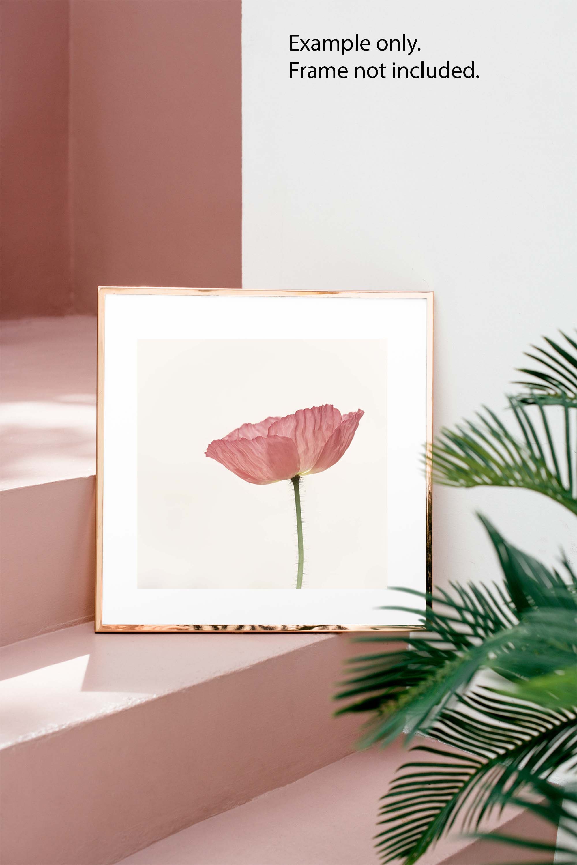 Pink Poppy Print, Pink Flower Print, Floral Wall Art, Square Photo ...