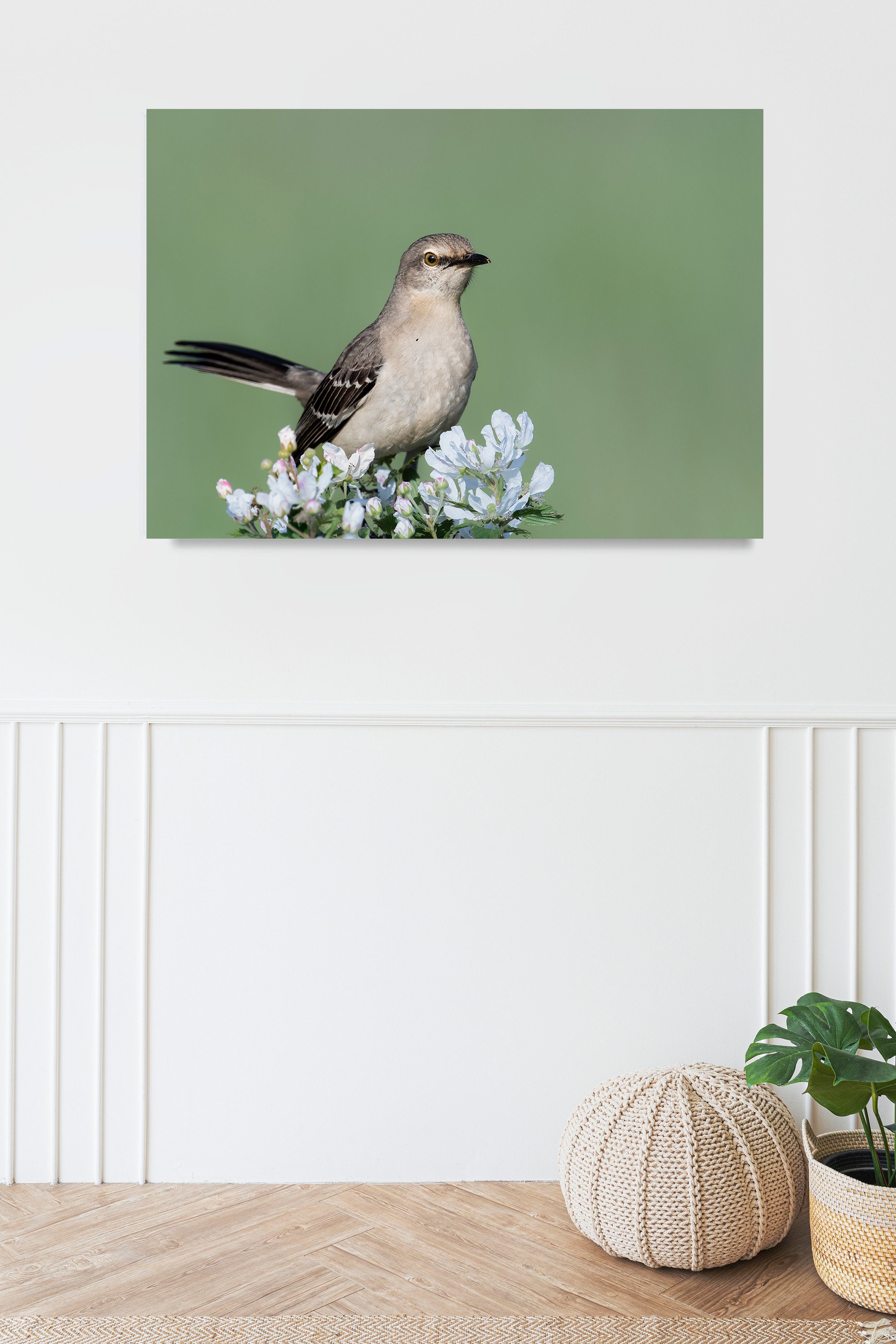 Mockingbird Print, Northern Mockingbird, Spring Bird Photo, Nature ...