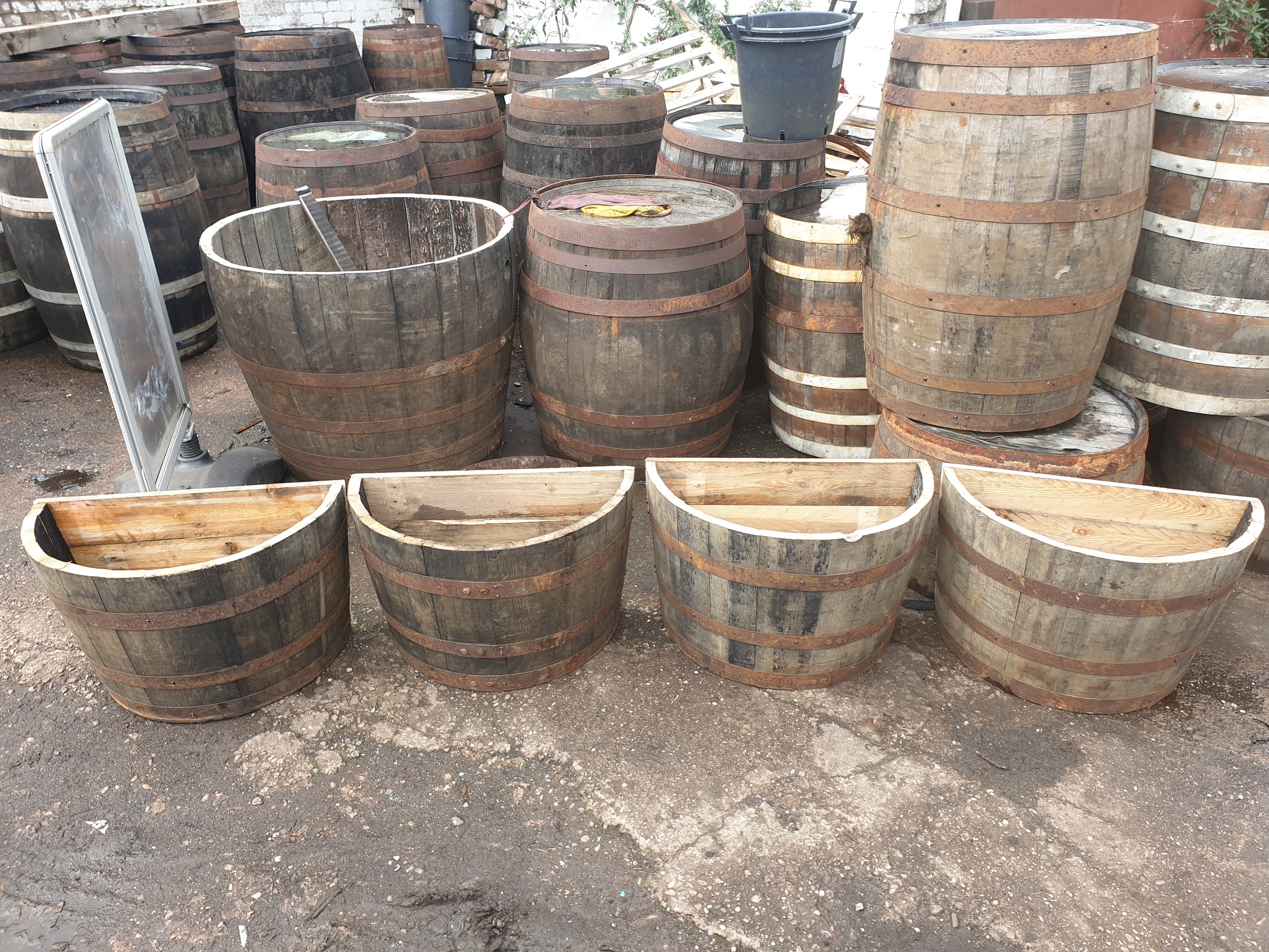 Genuine Whisky Barrel Planter Flat Back Plants Shrubs Flowers - Etsy