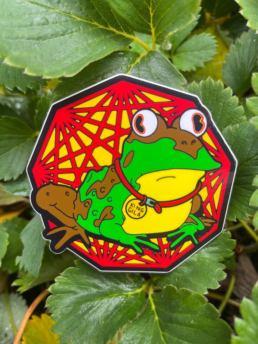 Future Show! All HAIL KING GILA!! Hypno(sis) Toad From Our Fav ...