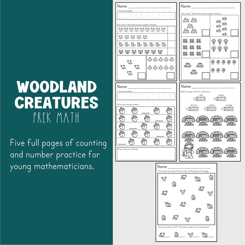 Preschool Printable Math Worksheets INSTANT DOWNLOAD Woodland Creatures ...