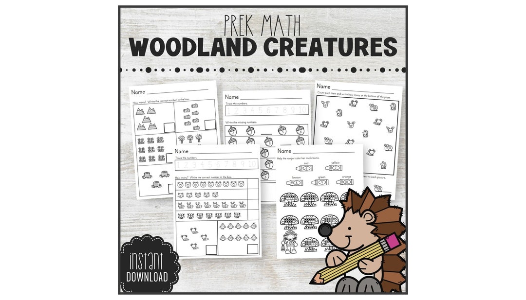 Preschool Printable Math Worksheets INSTANT DOWNLOAD Woodland Creatures ...