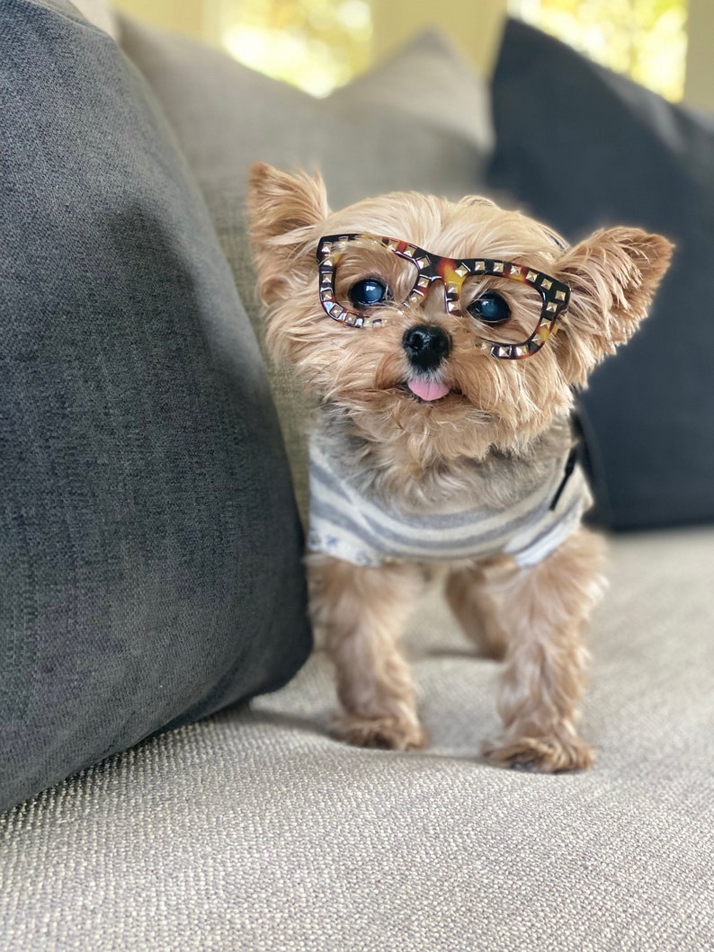 Hello Henri No Lens Professor Dog Sunglasses - Etsy