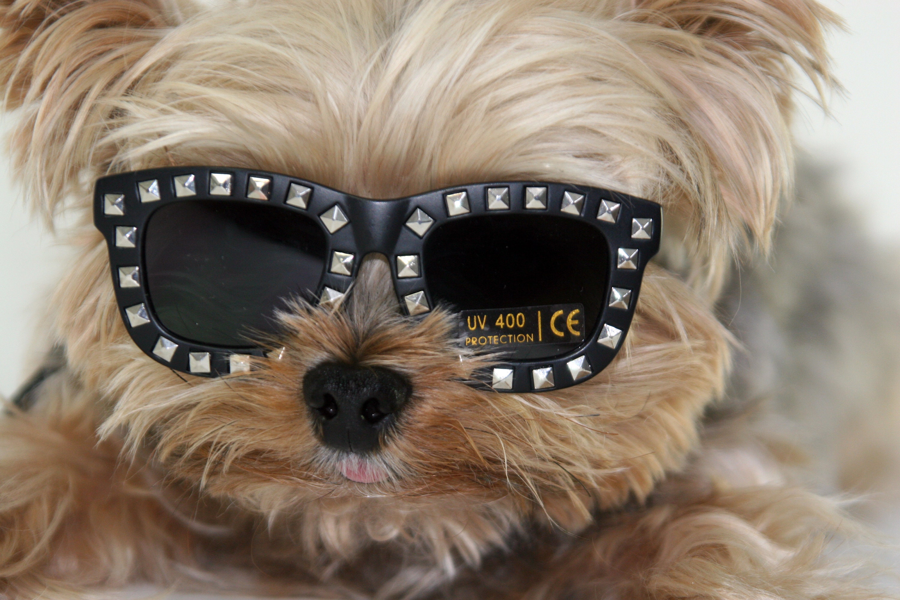 Hello Henri Tiny Black Shades - Etsy