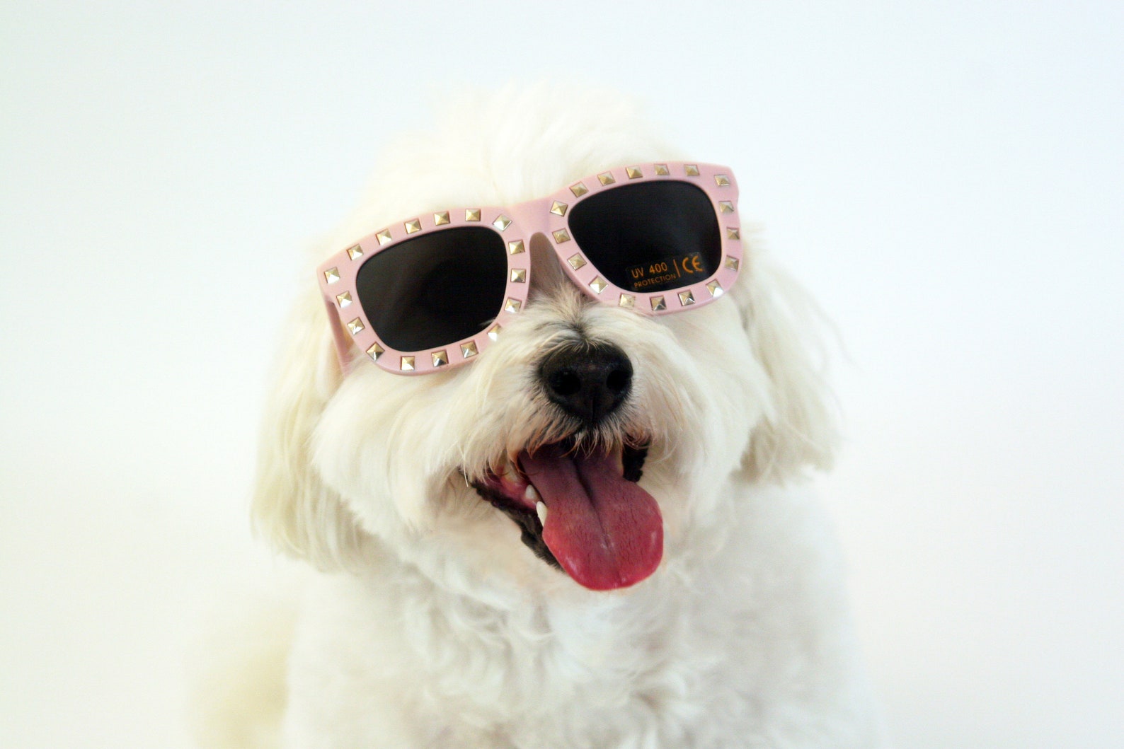 Hello Henri Large Mauve Studded Shades - Etsy