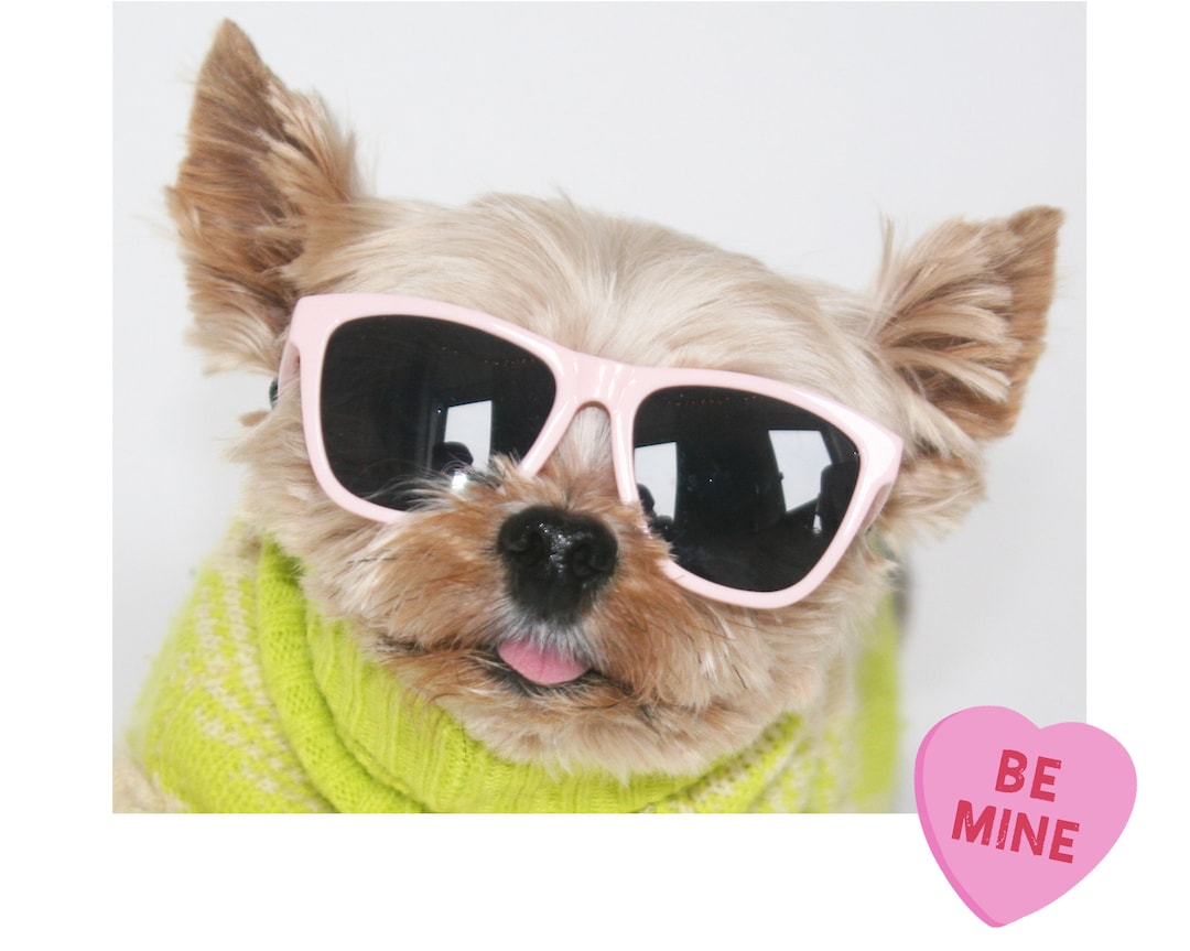 Hello Henri Be Mine Shades - Etsy