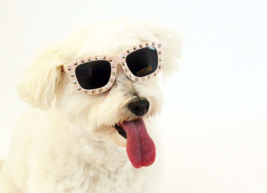 Hello Henri Large Ballerina Pink Shades - Etsy