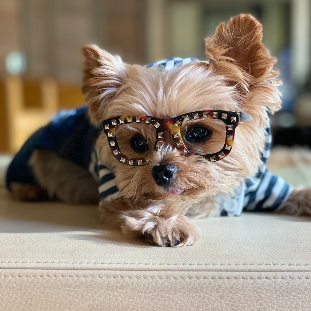 Hello Henri No Lens Professor Dog Sunglasses - Etsy