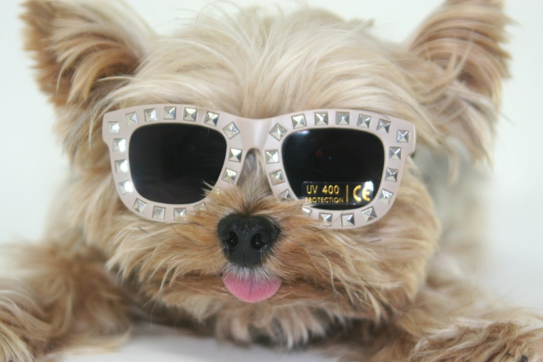 Hello Henri Tiny Tan Shades - Etsy