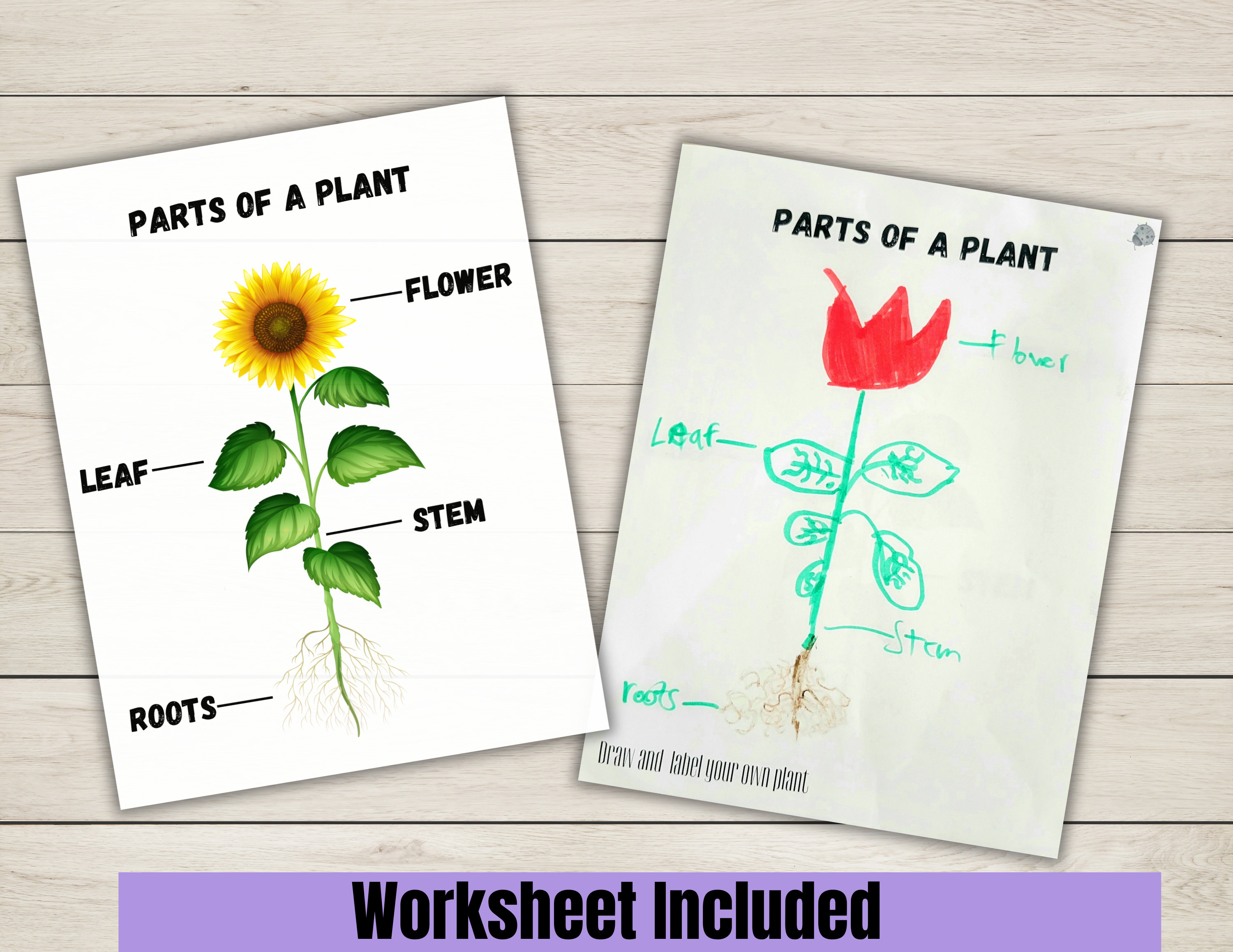 Kids’ Downloadable Garden Activity Pack - Etsy