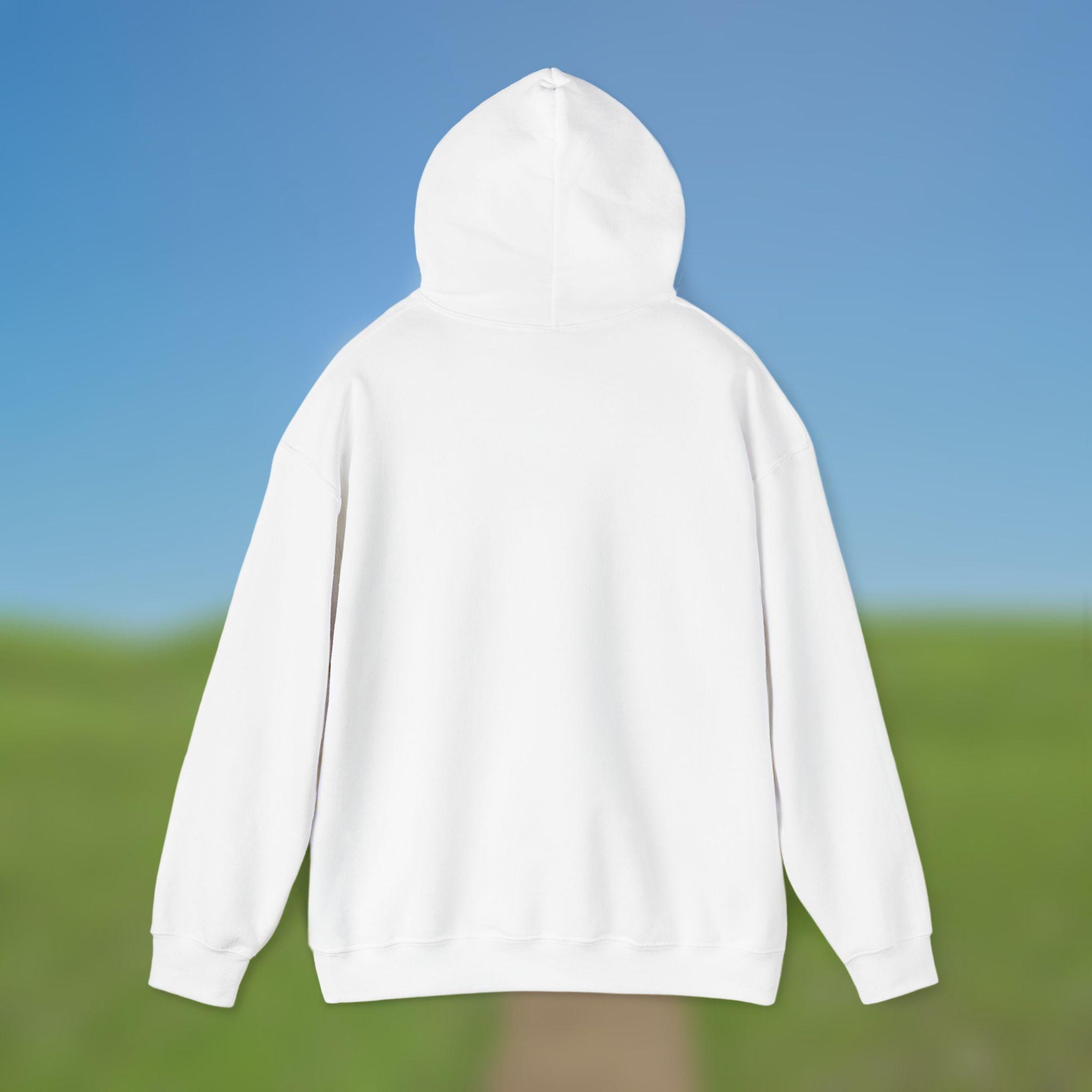 Biblically Accurate Angel Embroidered Hoodie, Be Not Afraid Sweatshirt ...