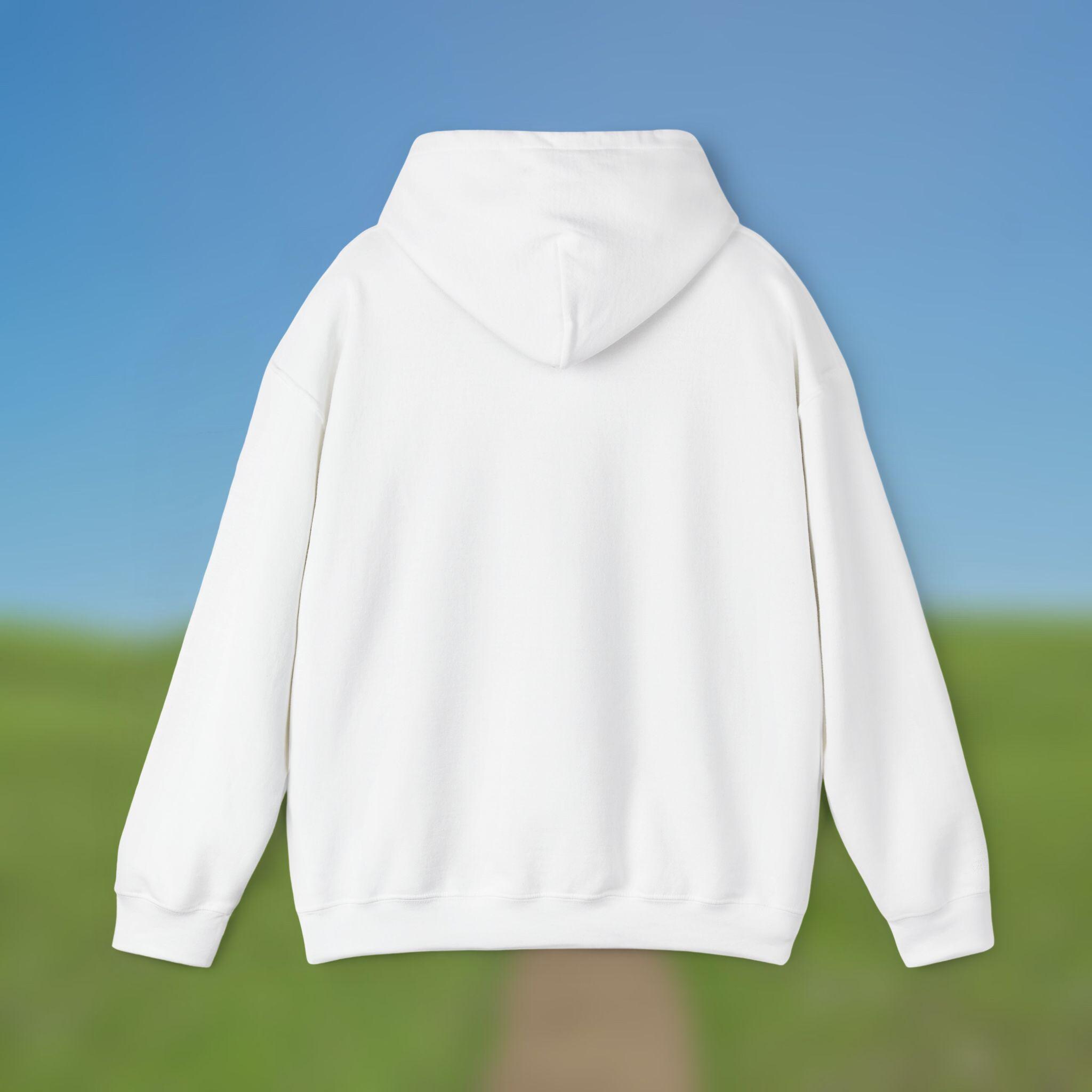 Biblically Accurate Angel Embroidered Hoodie, Be Not Afraid Sweatshirt ...