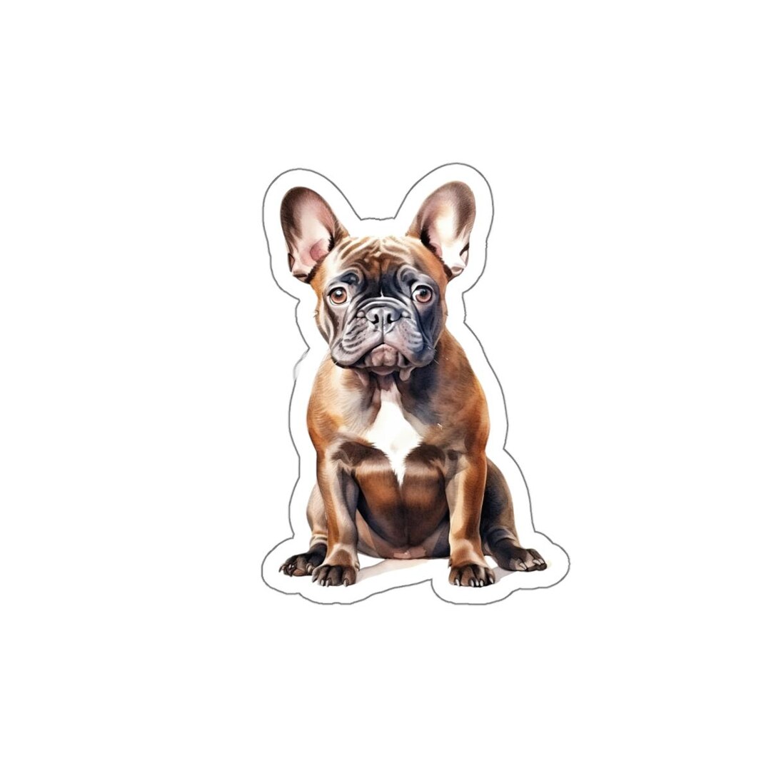 French Bulldog, Frenchie, Dog Breed, Small Dog, Compact Dog, Bat-like ...