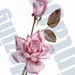 Pink Rose Drawing, Vintage, Scrapbook, Flower, Digital Clipart, Instant ...