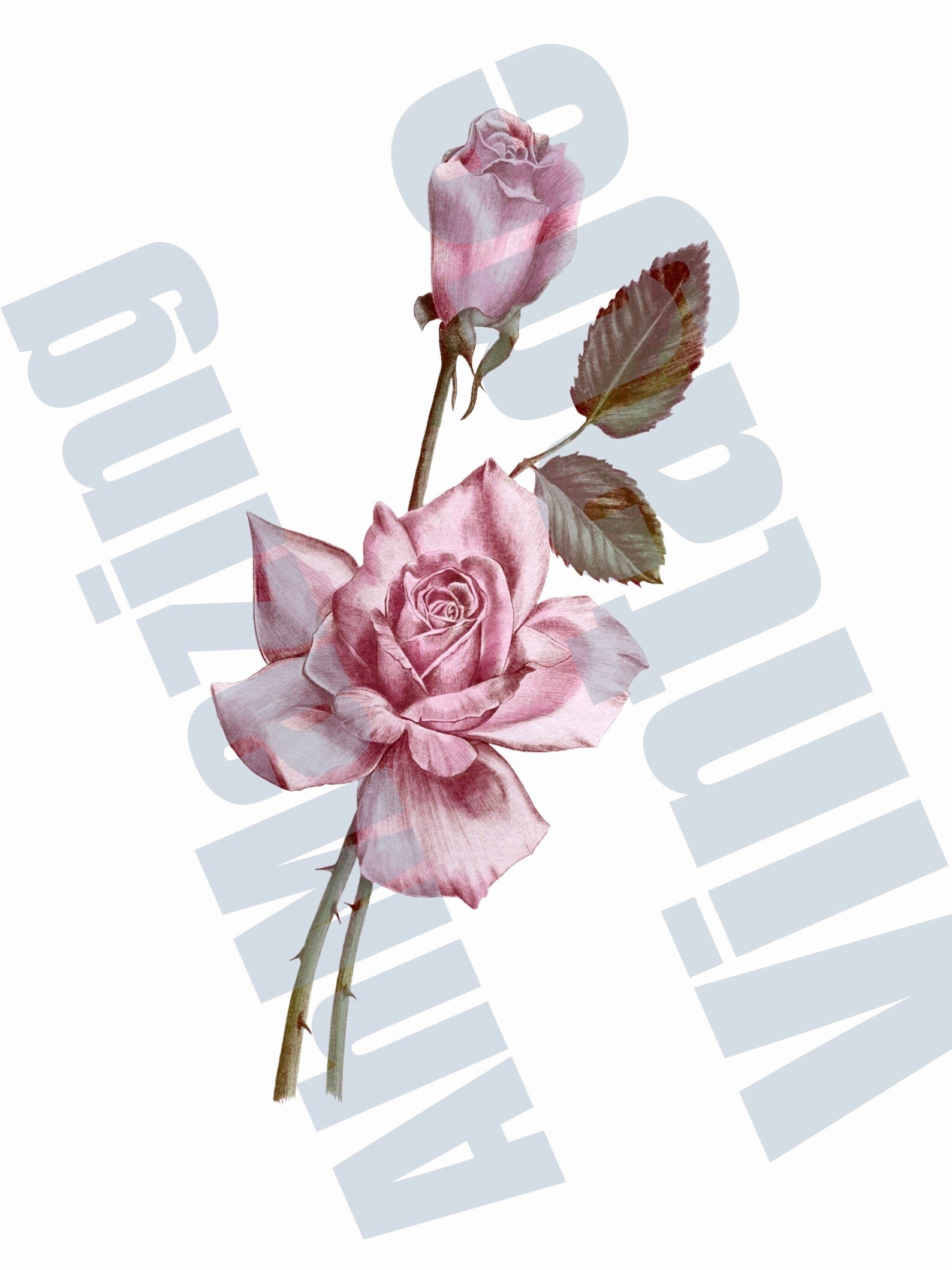 Pink Rose Drawing, Vintage, Scrapbook, Flower, Digital Clipart, Instant ...