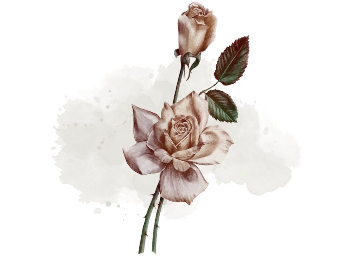 Gold Rose Drawing, Vintage, Scrapbook, Flower, Digital Clipart, Instant ...