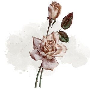 Gold Rose Drawing, Vintage, Scrapbook, Flower, Digital Clipart, Instant ...