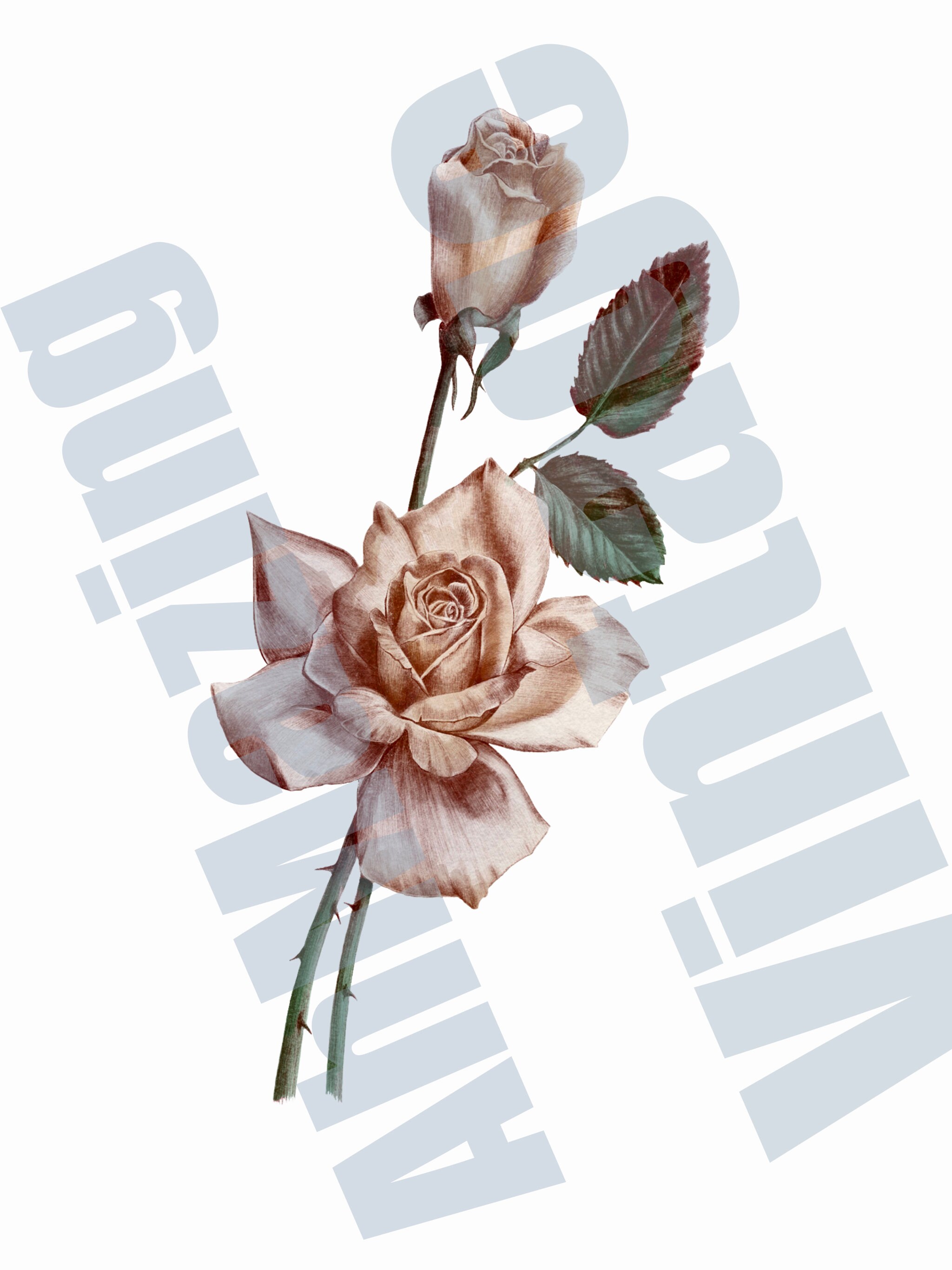 Gold Rose Drawing, Vintage, Scrapbook, Flower, Digital Clipart, Instant ...