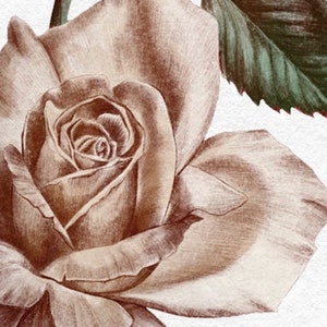Gold Rose Drawing, Vintage, Scrapbook, Flower, Digital Clipart, Instant ...