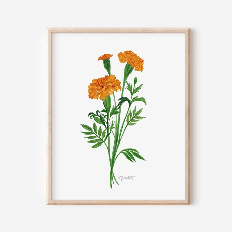 Marigold Print - Etsy