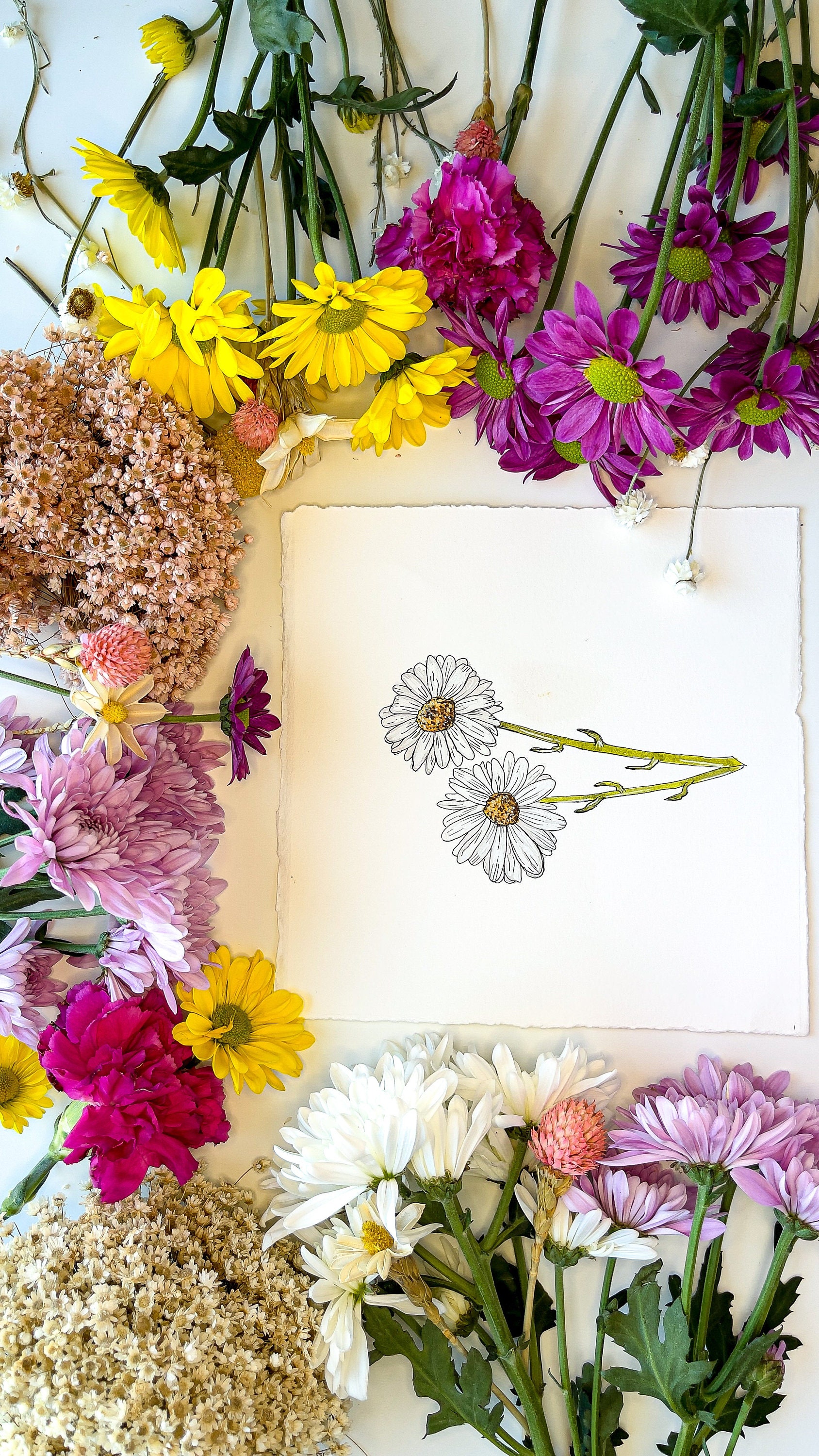 April Daisy Watercolor Birth Month Flower Botanical Art Print - Etsy