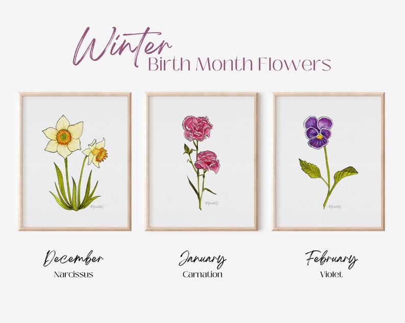 February Violet Watercolor Birth Month Flower Botanical Art Print - Etsy