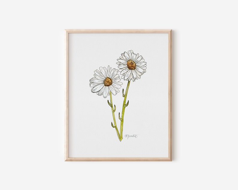 April Daisy Watercolor Birth Month Flower Botanical Art Print - Etsy