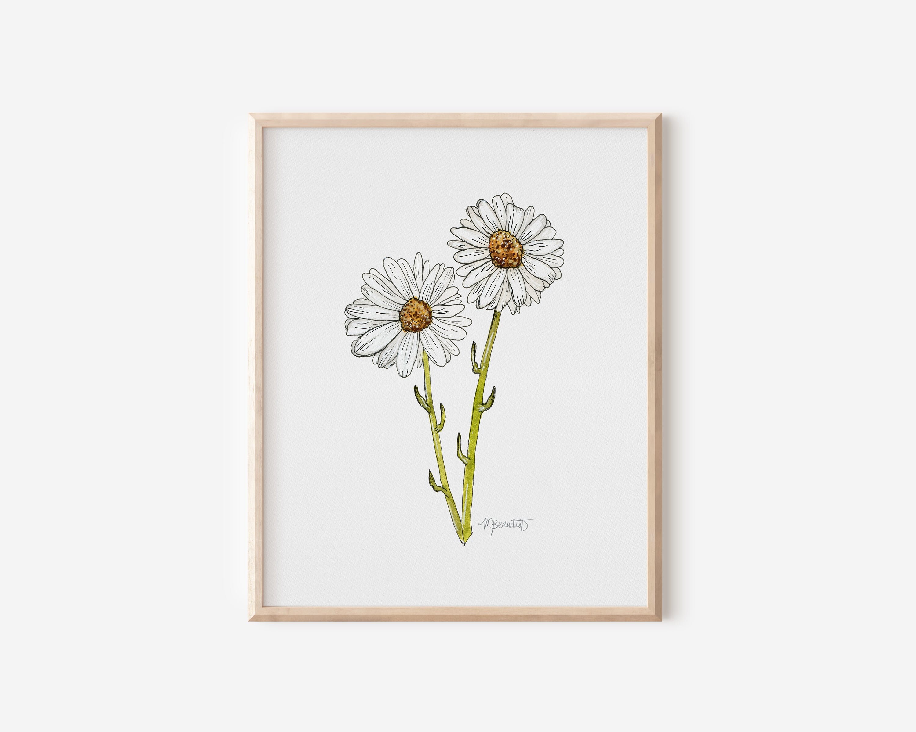 April Daisy Watercolor Birth Month Flower Botanical Art Print - Etsy