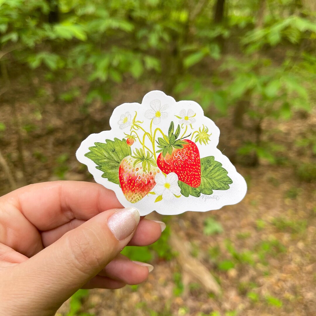 Strawberry Plant Vinyl Sticker: Cottagecore Laptop Decal (3"x 3") - Etsy