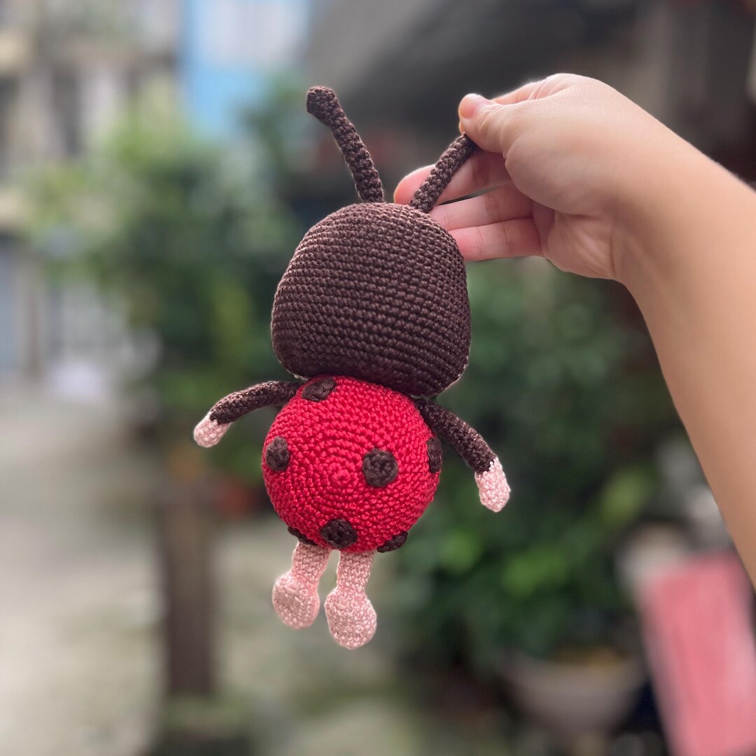 Kiki the Ladybug Crochet Pattern by Boogiebugcraft | Charming Amigurumi ...