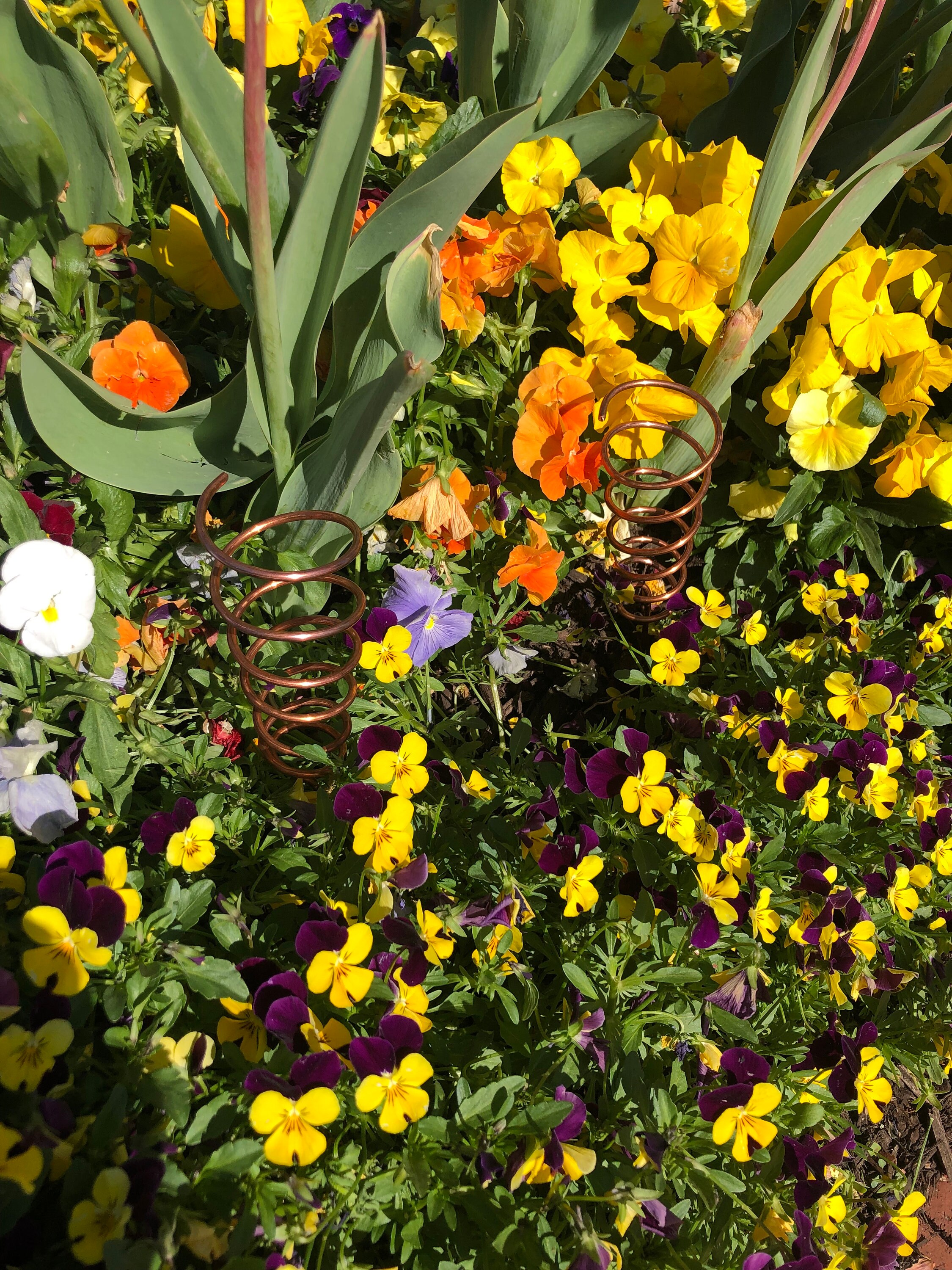 2 Pack of Electro Culture Rods | Copper Rods for the Garden | Garden ...