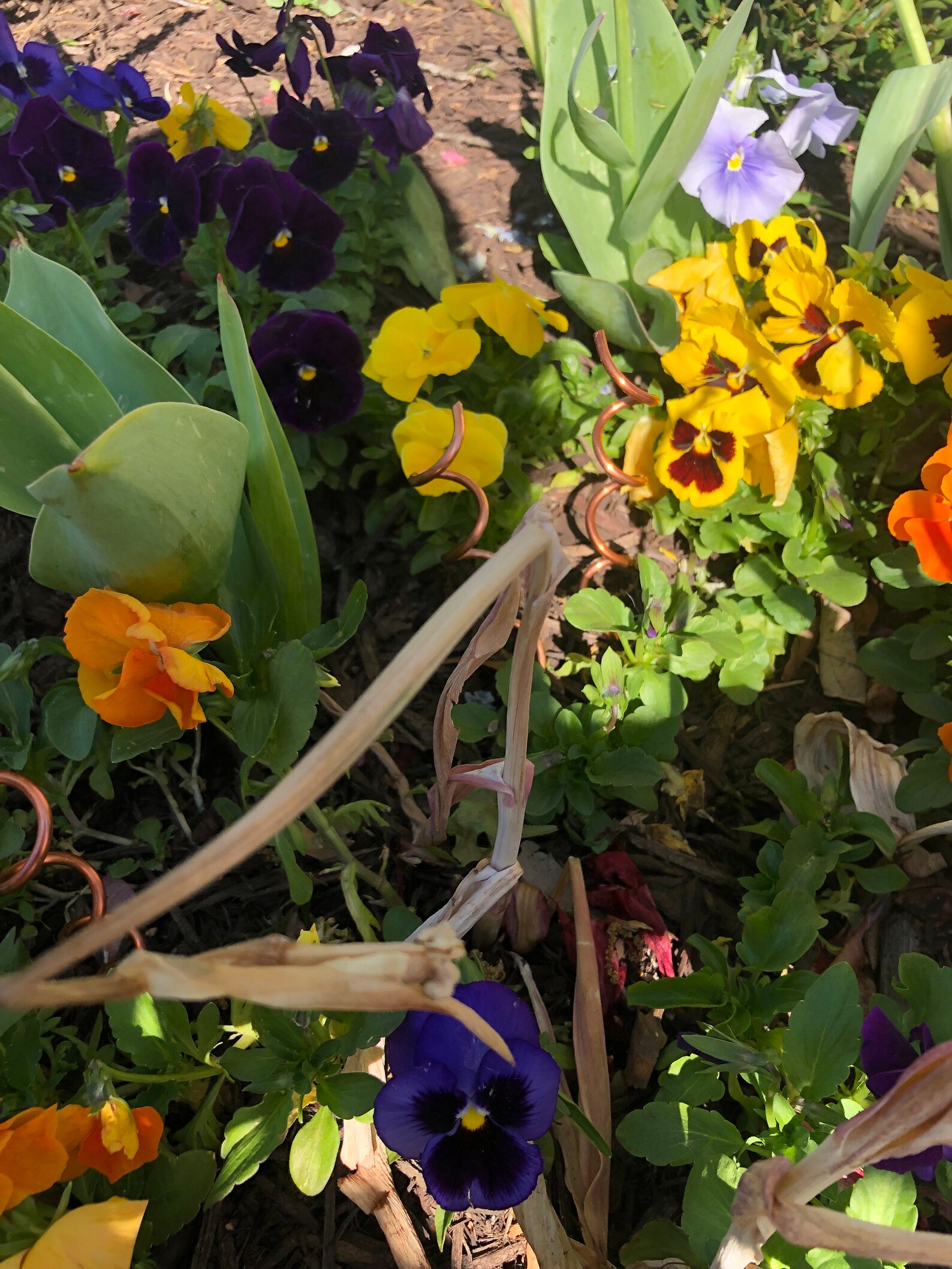 2-pack of Electro Culture Rods Ideal for Potted Plants | Copper Rods ...