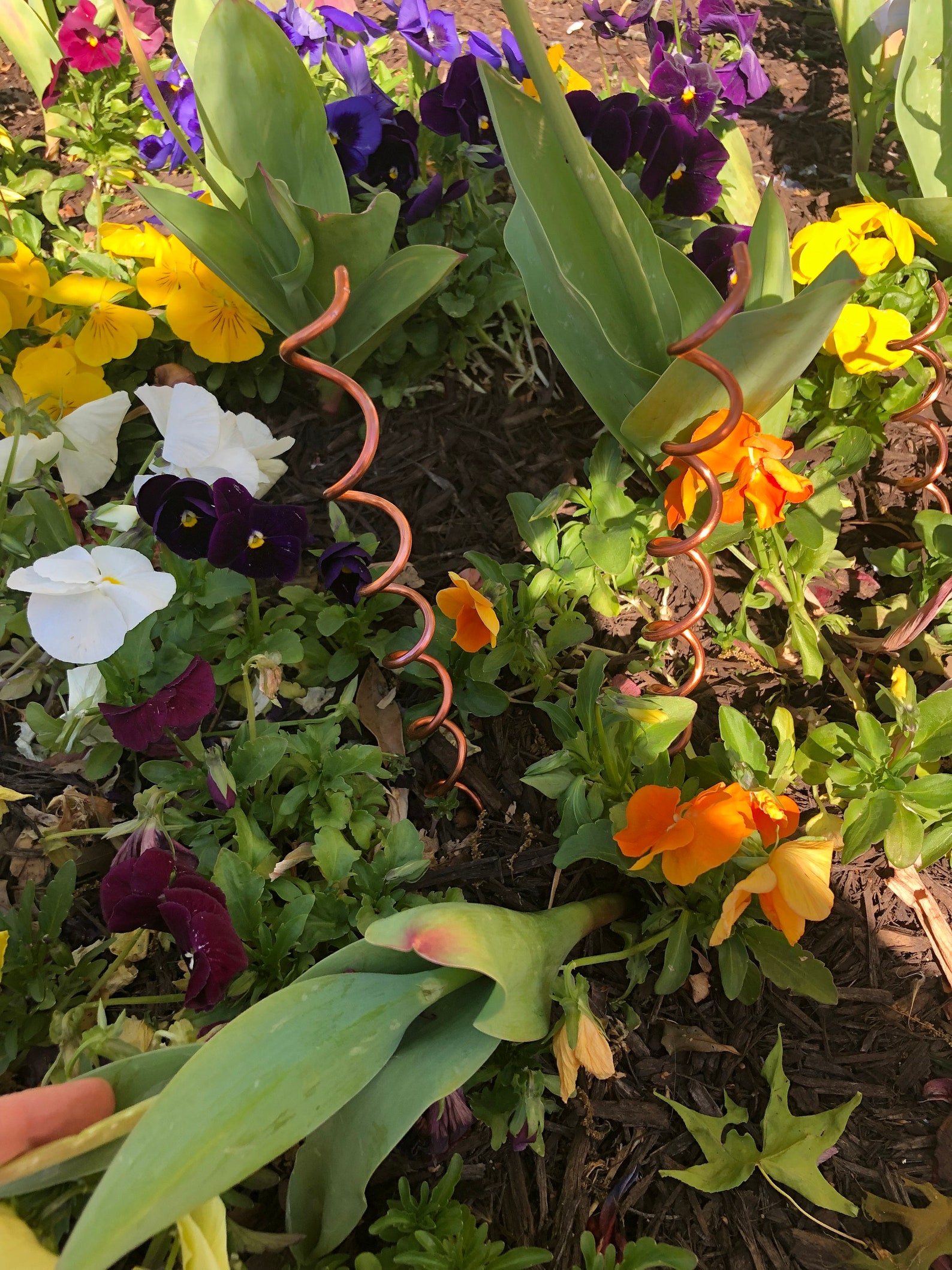 2-pack of Electro Culture Rods Ideal for Potted Plants | Copper Rods ...