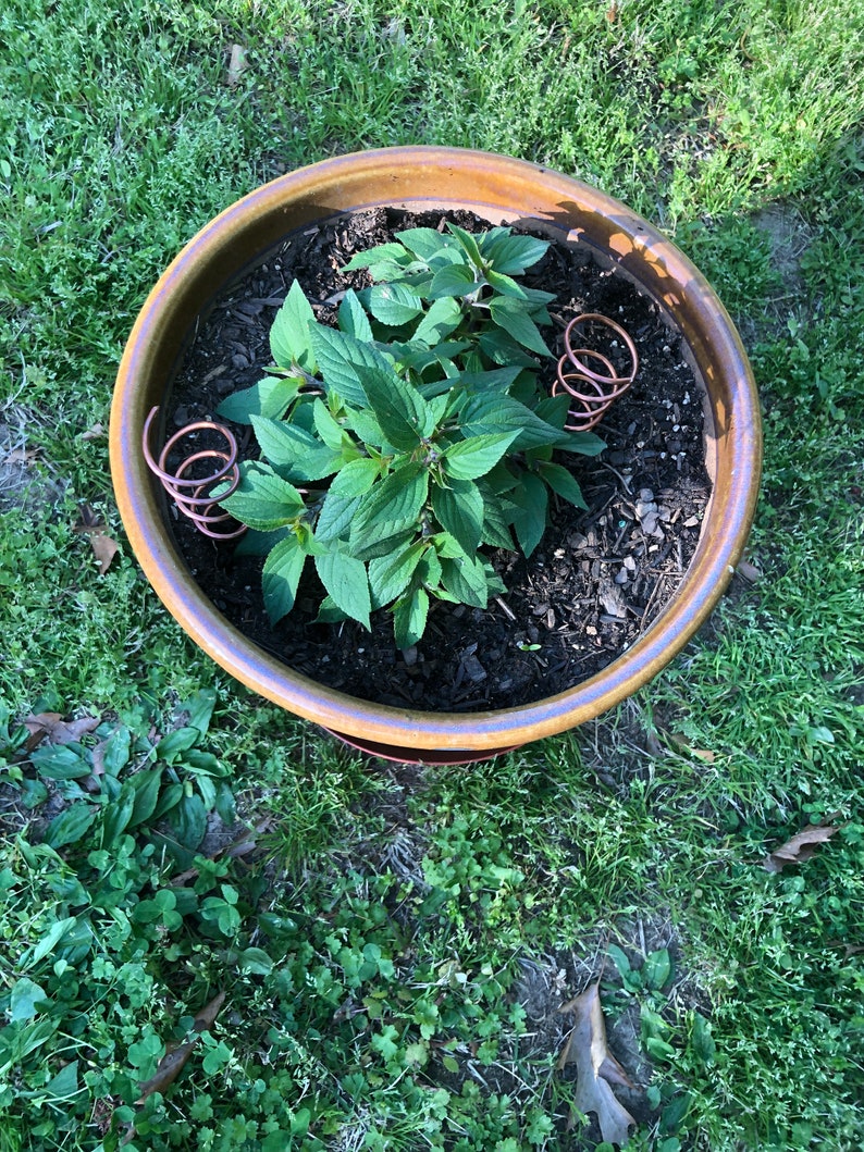 2 Pack of Electro Culture Rods | Copper Rods for the Garden | Garden ...