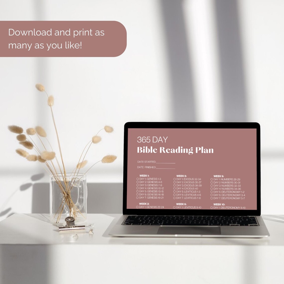 Bible Reading Plan, Chronological Bible Study Guide, 365 Day Bible ...