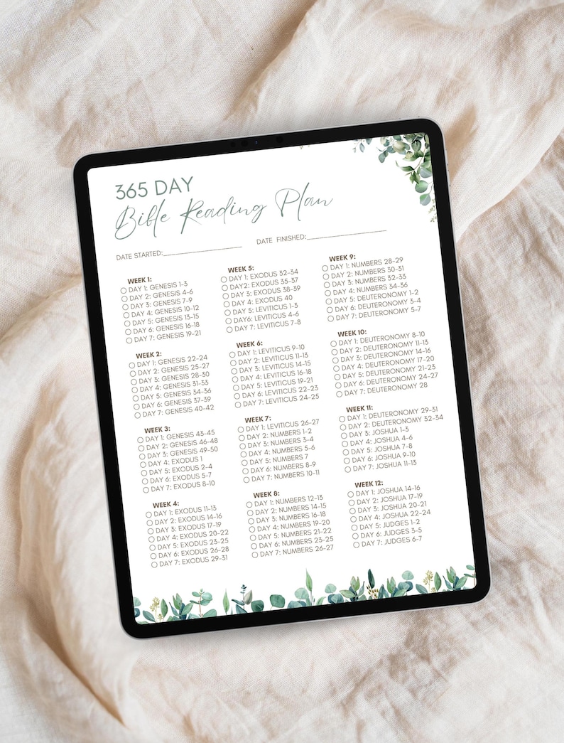365-day Bible Reading Plan: Chronological Scripture Tracker (A4 PDF ...
