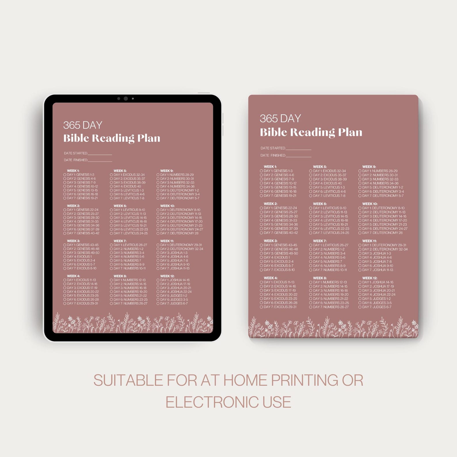 Bible Reading Plan, Chronological Bible Study Guide, 365 Day Bible ...