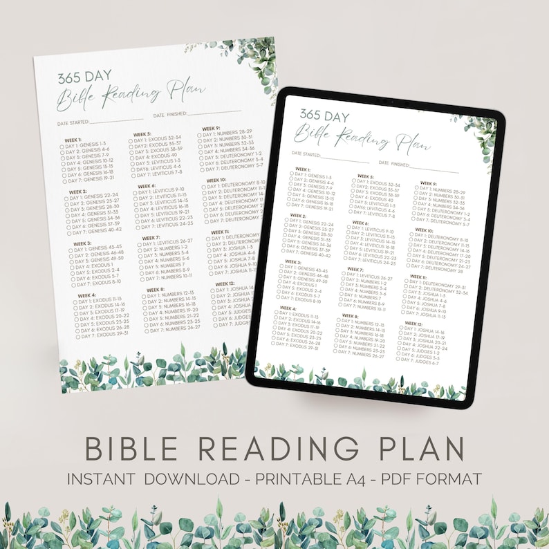 365-day Bible Reading Plan: Chronological Scripture Tracker (A4 PDF ...