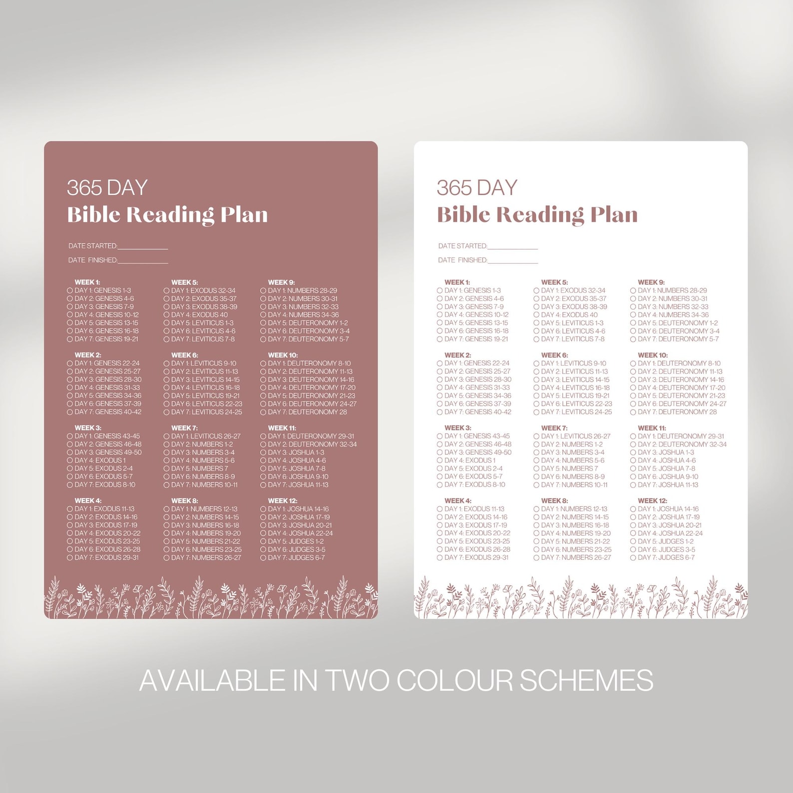 Bible Reading Plan, Chronological Bible Study Guide, 365 Day Bible ...