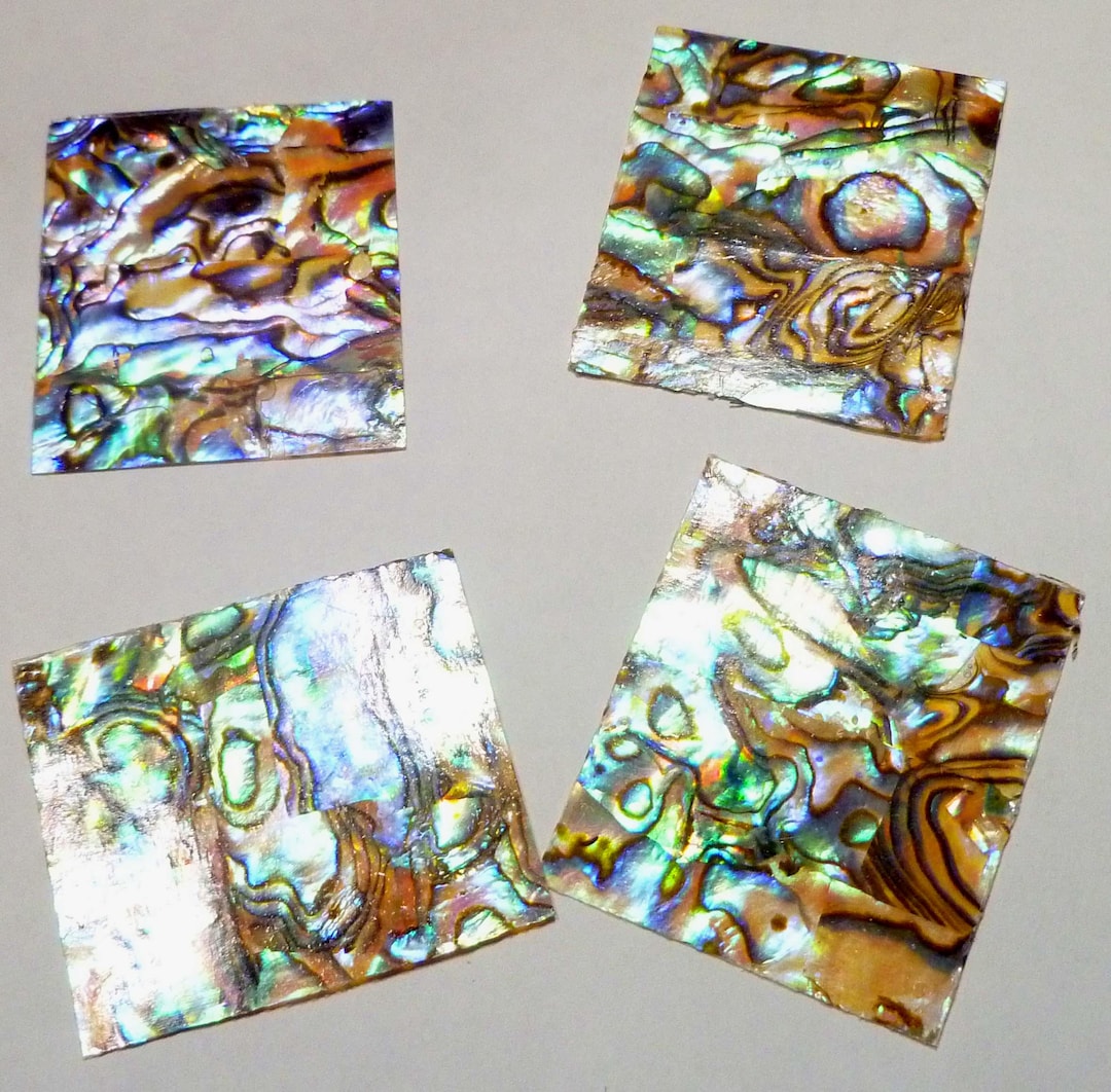 Lot of 4 Paua Abalone Shell Blanks Purple/green/blue Inlay Material DIY ...