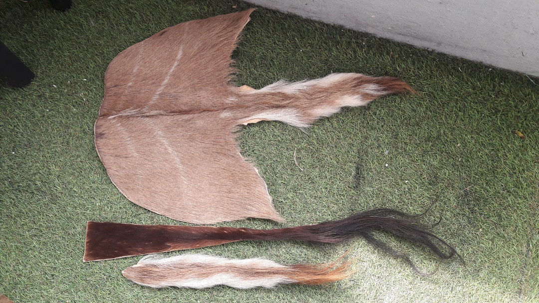 Lot of Naturalized Tails of Cobe and Sable Antelope - Etsy
