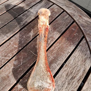 African Spoonbill Skull Platalea Alba 8 - Etsy