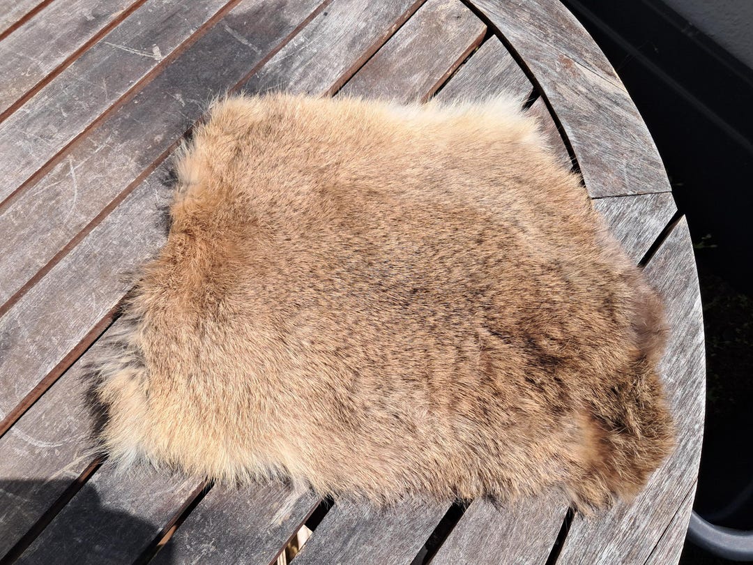 Rabbit Skin of Your Choice - Etsy
