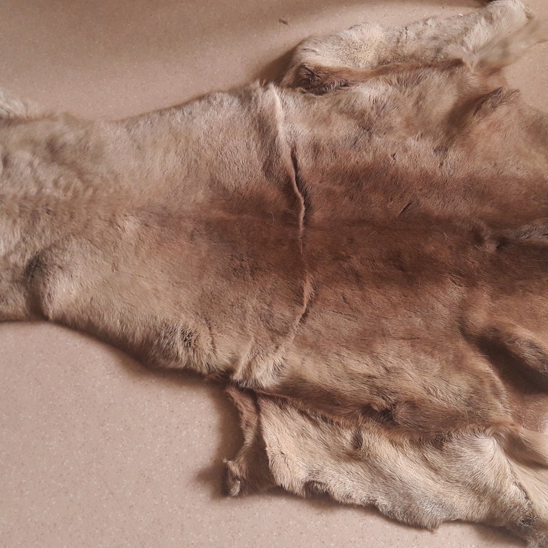 Real Animal Skin - Etsy